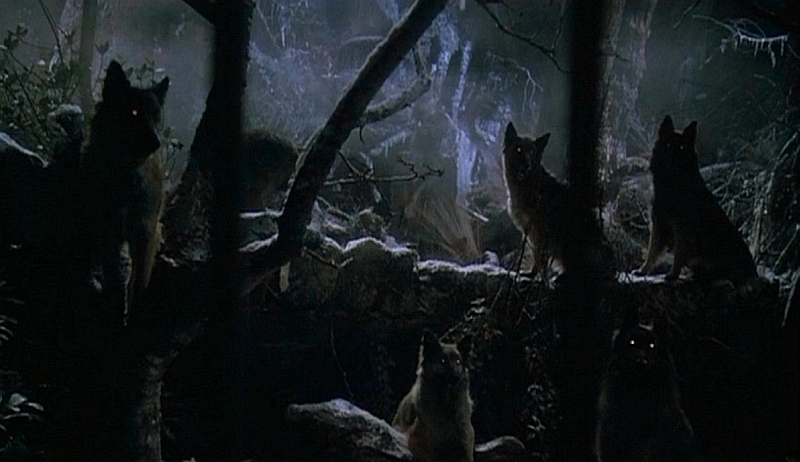 ‎The Company of Wolves (1984) directed by Neil Jordan • Reviews, film ...